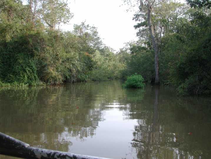 New Orleans Vacation 2003