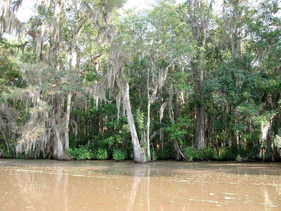 New Orleans Vacation 2003