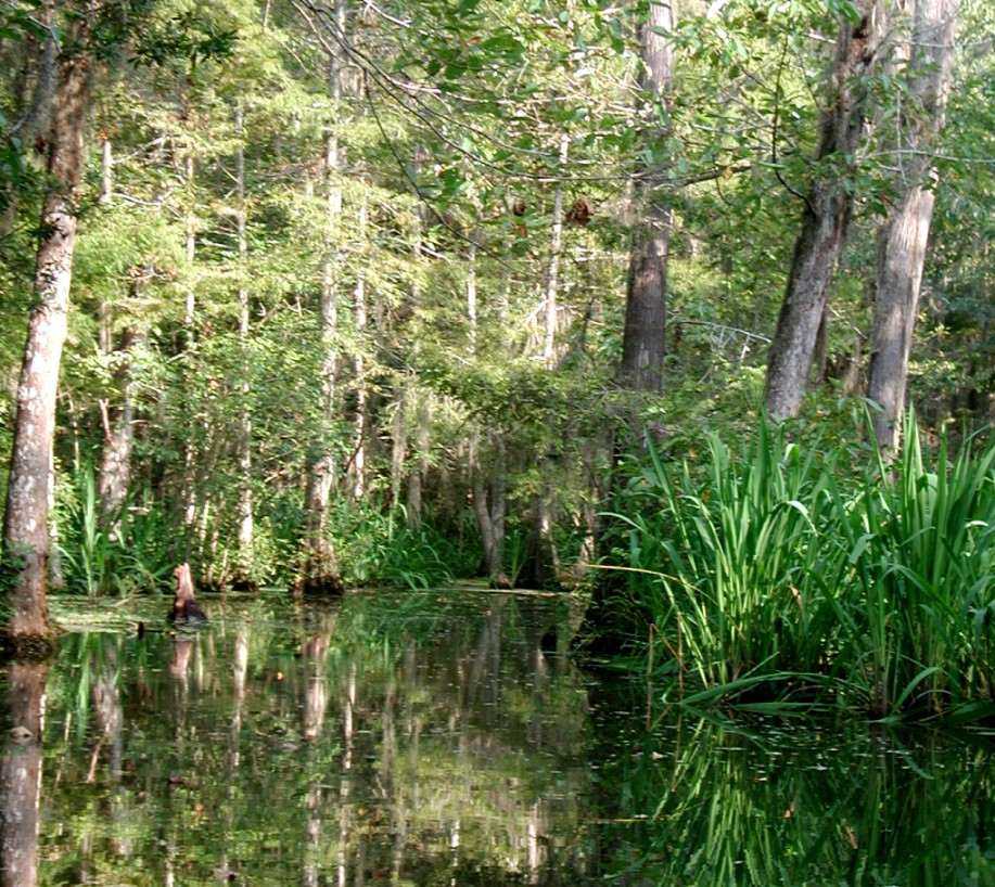 New Orleans Vacation 2003