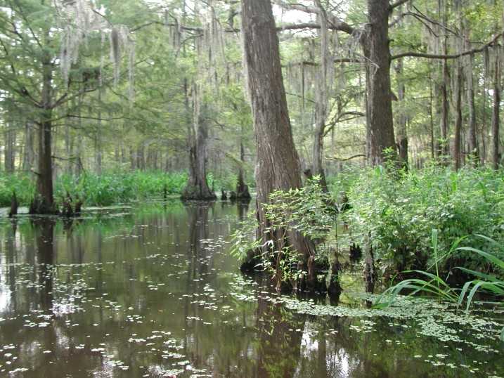 New Orleans Vacation 2003